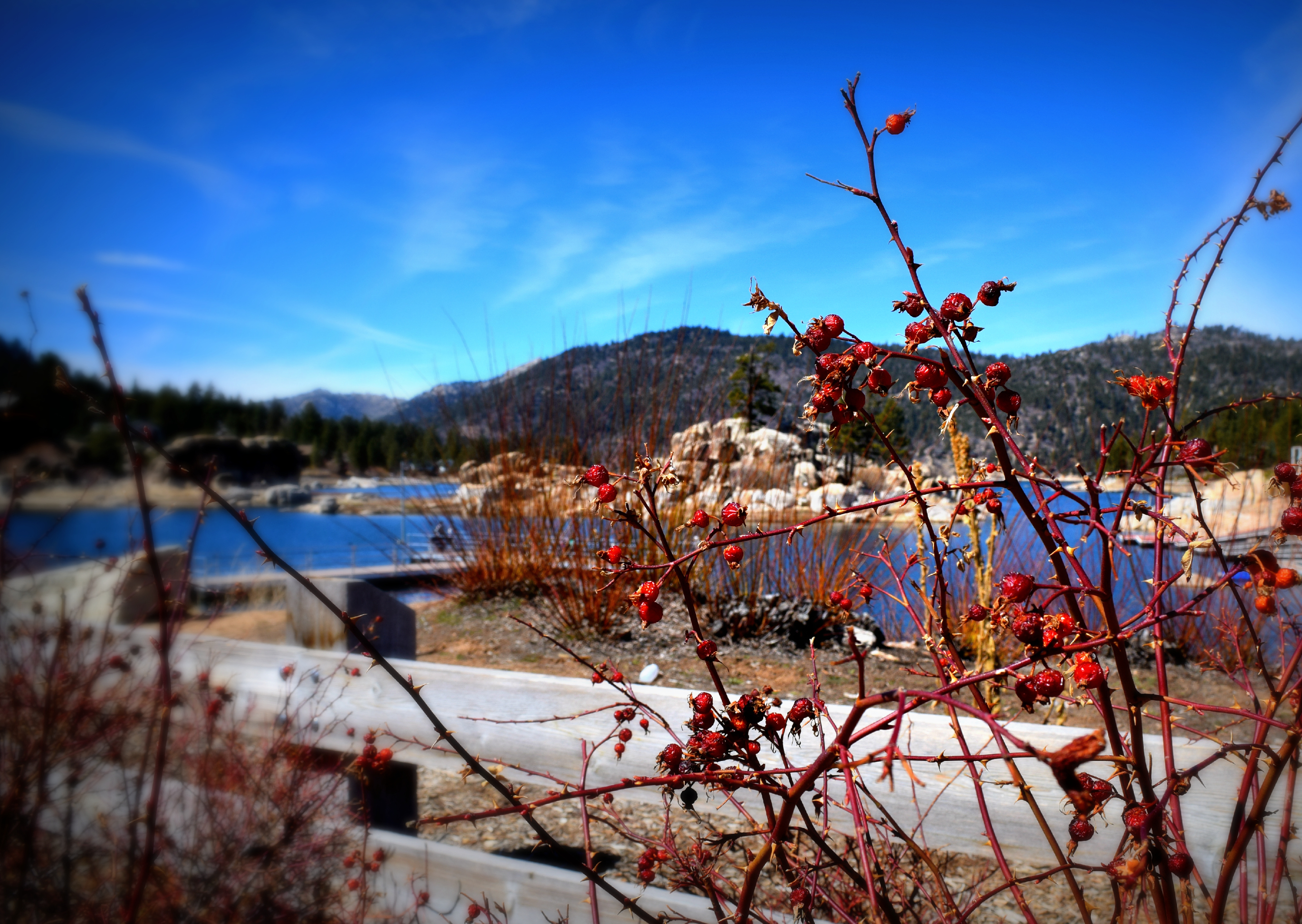 10 Fun Big Bear Lake Facts – Destination Big Bear 10 Fun Big Bear Lake Facts – Destination Big Bear