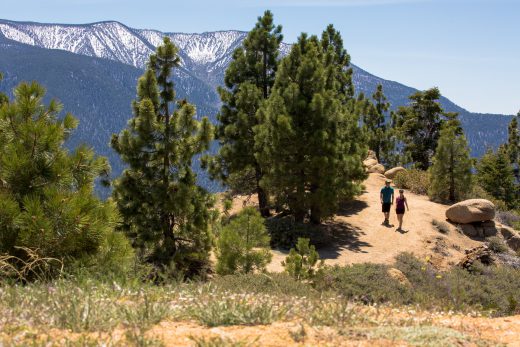 Top Things To Do in Big Bear Summer - Destination Big Bear